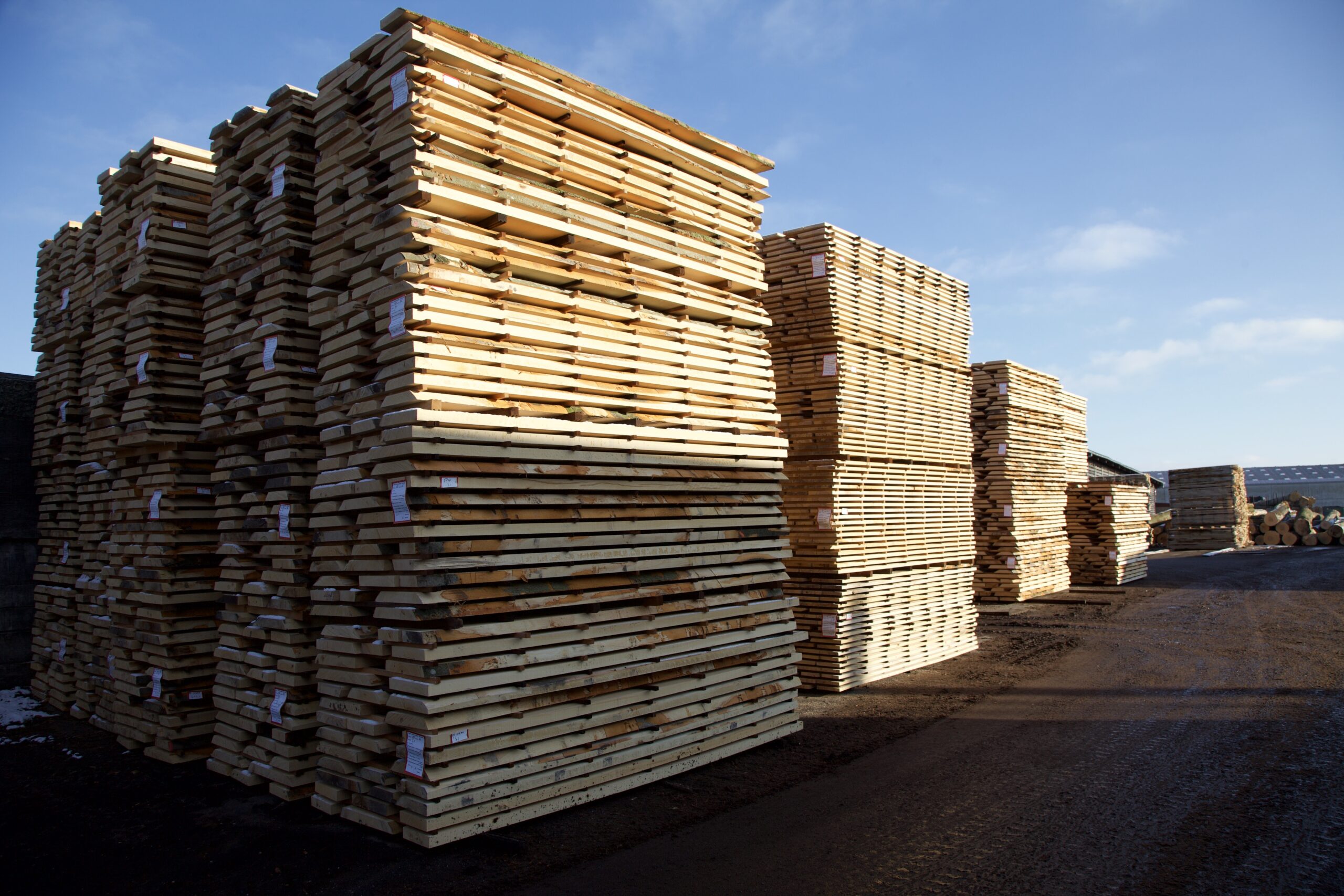 Beech Lumber - Hvalsoe Sawmill